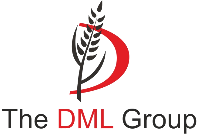 DML Group